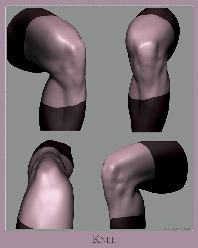 Anatomy Studies - Part 01, Glauco Longhi : I've been doing some anatomy studies lately and ...