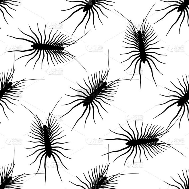 与 Scutigera coleoptrata 的无缝模式。千足虫。手绘房子蜈蚣。矢量