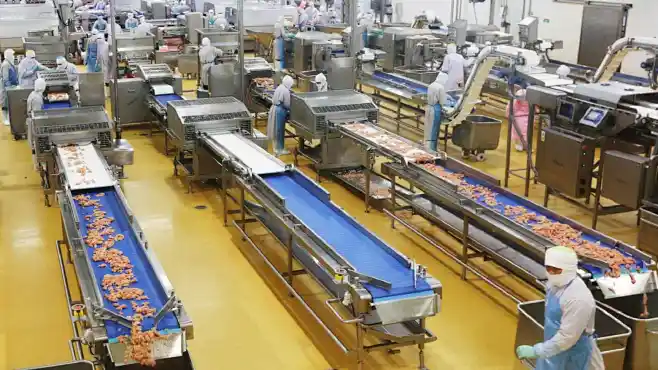 20200617 Thai Factory -花瓣网