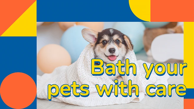 Creative Pets Bath Care YouTube Thumbnail素材-花瓣网