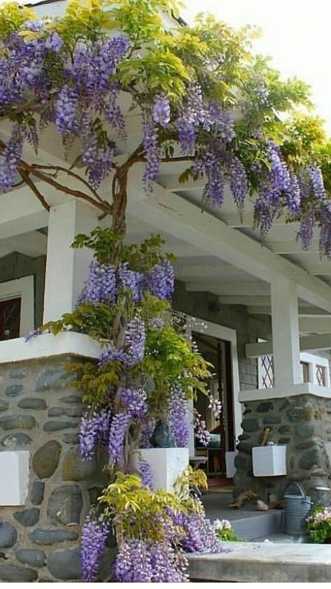 (8) Pinterest-花瓣网