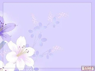 ppt背景图片淡雅_360图片搜索-花瓣网
