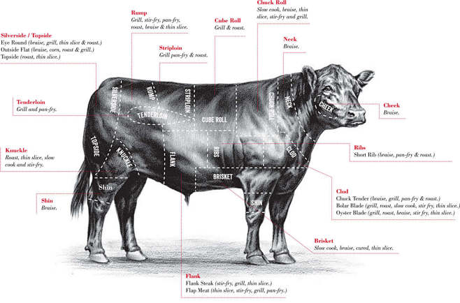 cow-diagram