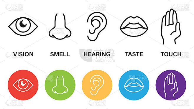 五感向量线图标设置。视觉、听觉、触觉、味觉、嗅觉。