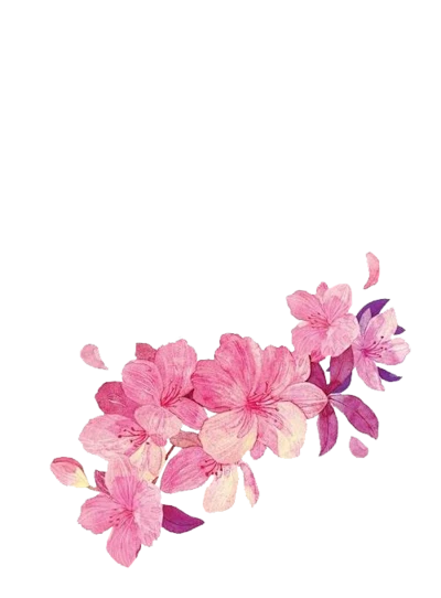 【米图网-52mitu.com】手绘 古风 粉红色叶子 png素材白色圆形标签-花瓣网