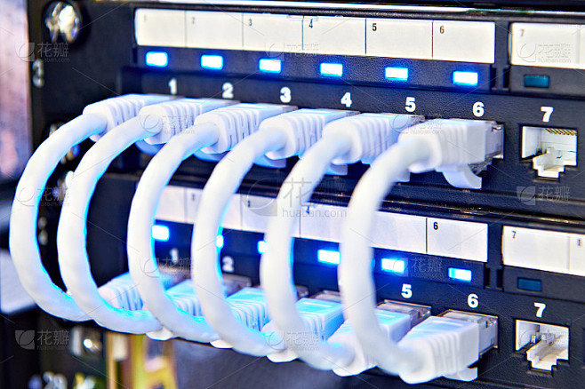 交换机上有连接器的网线