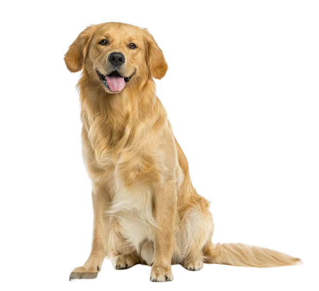 %E6%9C%AA%E5%91%BD%E5%90%8D%20(7) (2)