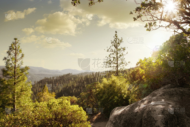 自然,水平画幅,无人,森林,背景,多色的,陆地,日落,摄影,树