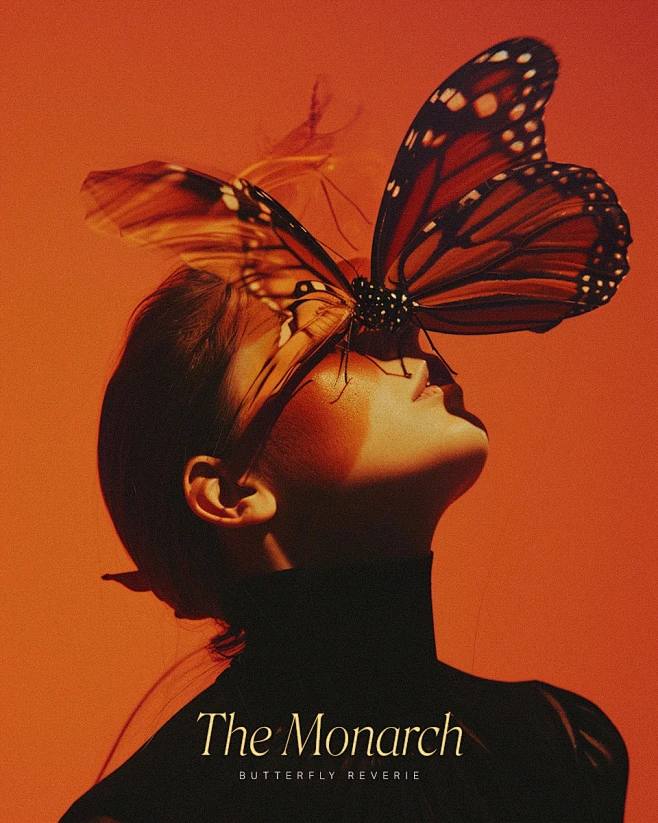 Butterfly Reverie - The Monarch :: Behance-花瓣网