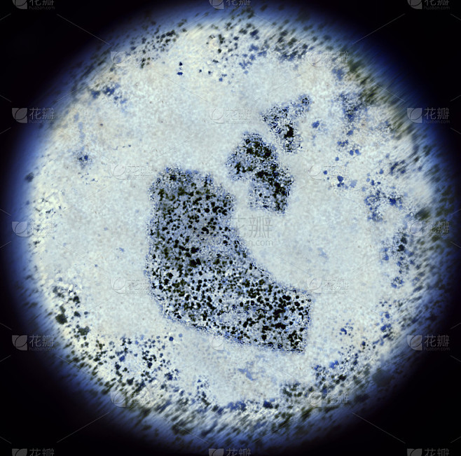 通过显微镜观察，细菌的形状像西北地区。（