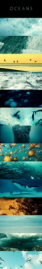 【Oceans】#海洋# #雅克·贝汉# Jacques Perrin的三大纪录片之一《海洋》【1080p高清截图461P下载地址：O网页链接 ...