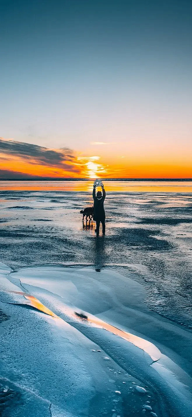 webp (17).webp-花瓣网