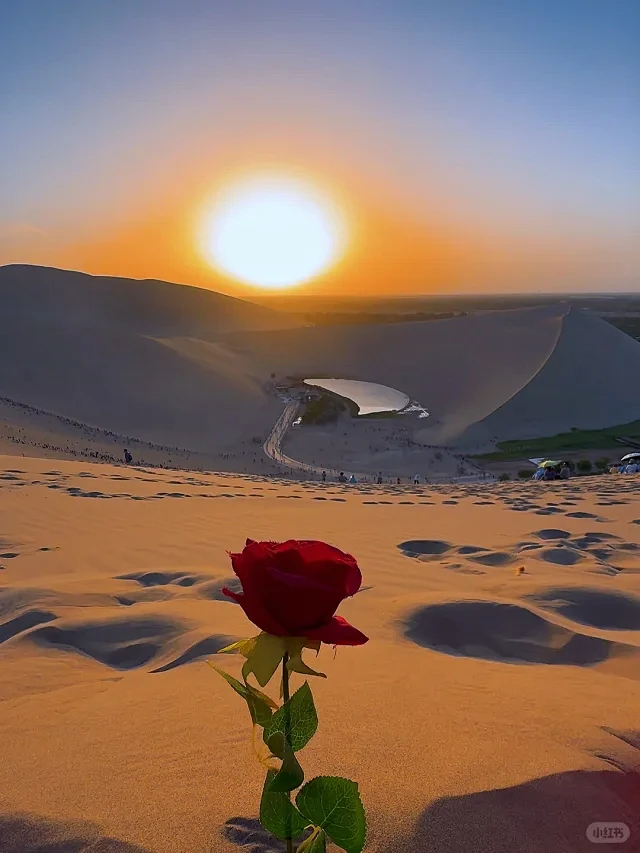 鸣沙山月牙泉 - 小红书搜索-花瓣网