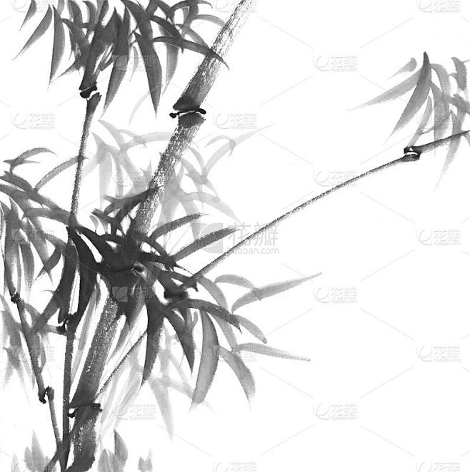 竹水墨画素材-花瓣网