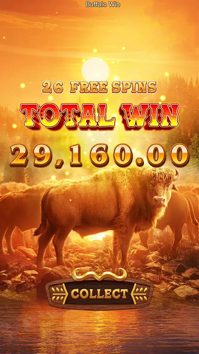 bufallo-win_total-win_en-花瓣网