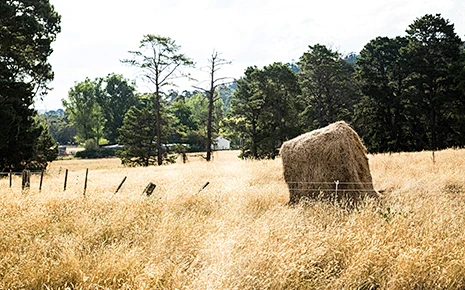 ONLY官方旗舰店2016-ONLY官方旗舰店-天猫Tmall.com图片_背景——春季绿图片素材-花瓣网