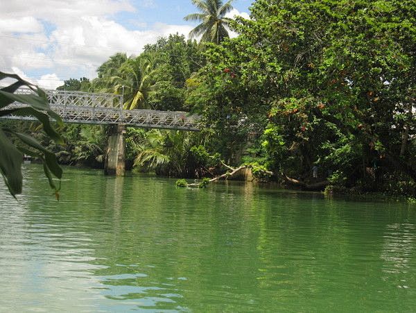 6) 吊桥（Tigbao Bamboo Hanging Bridge） 桥对面...