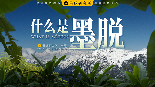 4463938a-461e-49f4-95ff-9a5851f21ae3