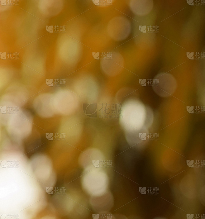背景虚化,运动模糊,自然,垂直画幅,式样,无人,散焦,抽象,夏天,森林