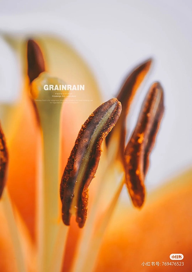 XHS_166074752713301027f01klfwx7v6pa9010vc74e23h3w