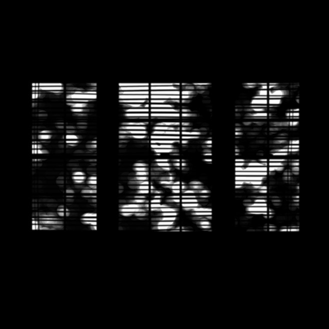 GSG_Gobos_Windows_Blinds_14