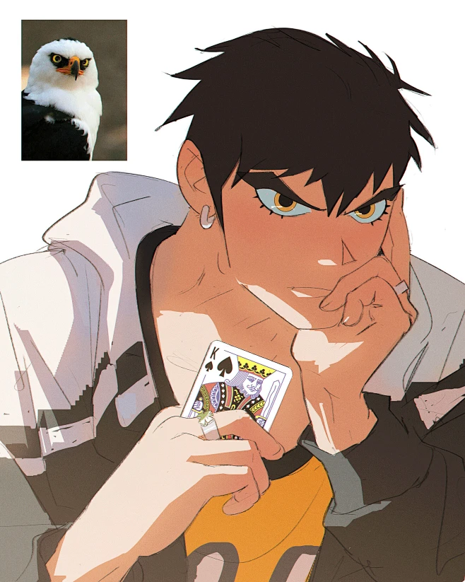 Bird Characters -花瓣网