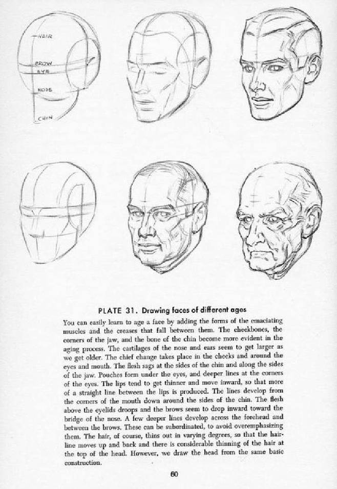 Andrew Loomis - Drawing the Head and Hands0056