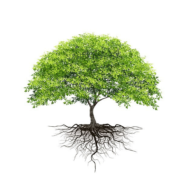 树木树根树冠矢量图素材
