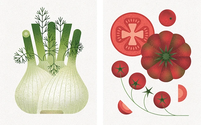 ILLUSTRATION vegetables botany Food cookbook recipe cooking restaurant ...