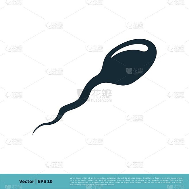 精子/精子图标矢量标志模板插图设计。向量EPS 10。