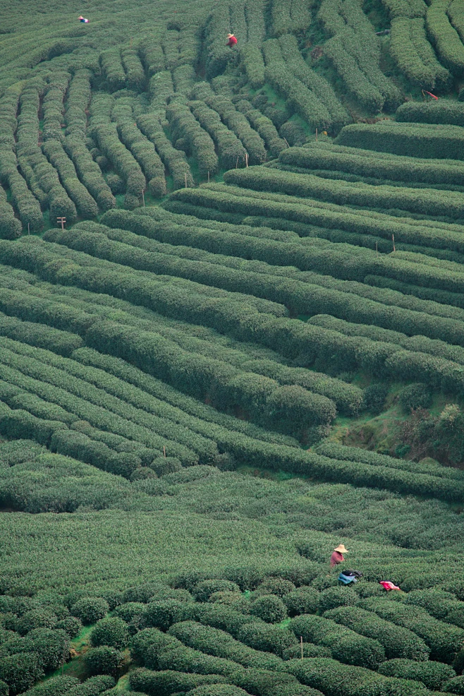 Top Creative Work On Behance : Showcase and discover creative work on ...