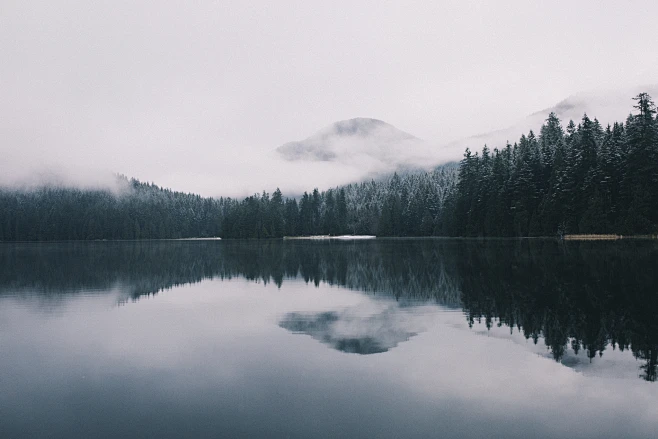 Flow / 500px-花瓣网