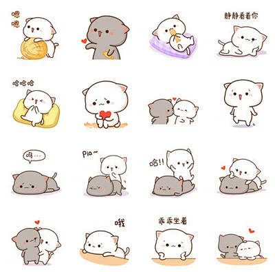 微信蜜桃猫表情包图片-花瓣网