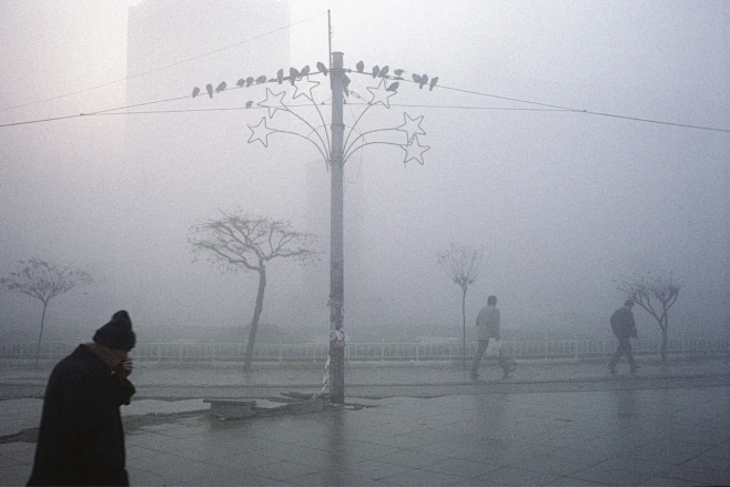 alex webb -花瓣网
