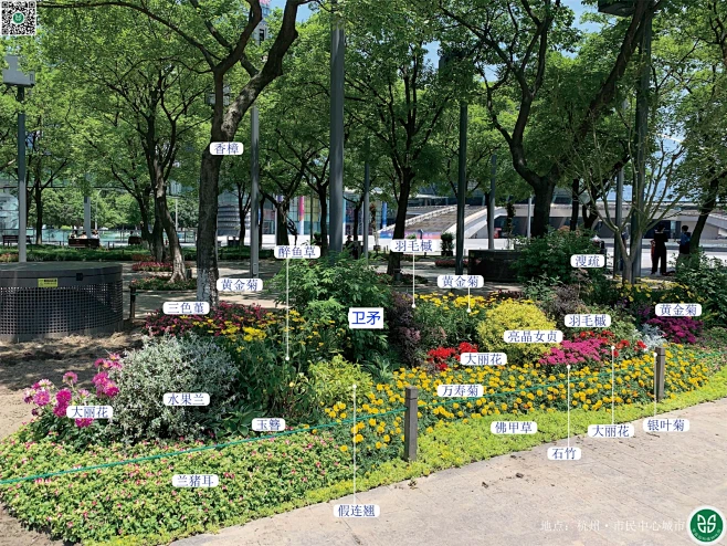 花境：杭州市民中心、太子湾（2022年5月）-花瓣网