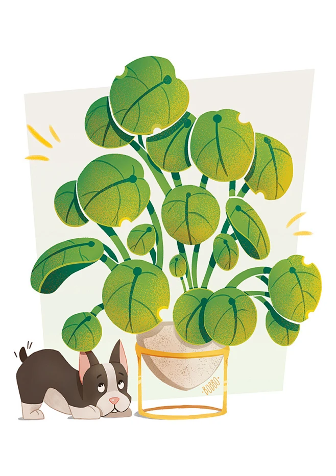 The big scary plant : Personal project with plants and pets - the best ...