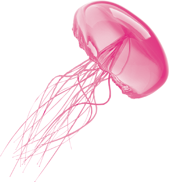 c4d素材 水母 海鸥 太阳 礼盒 IP角色 c4d 树叶 三维场景 KV 电商美工群:129134938 圣诞 c4d搭建 大促元素 电商立体场景 PNG 合成素材