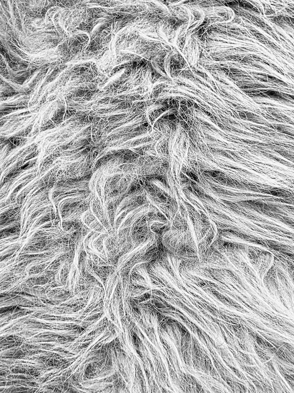 人造的,银色,毛皮,动物毛发,长发,自然美,动物毛,充满的,垂直画幅,美