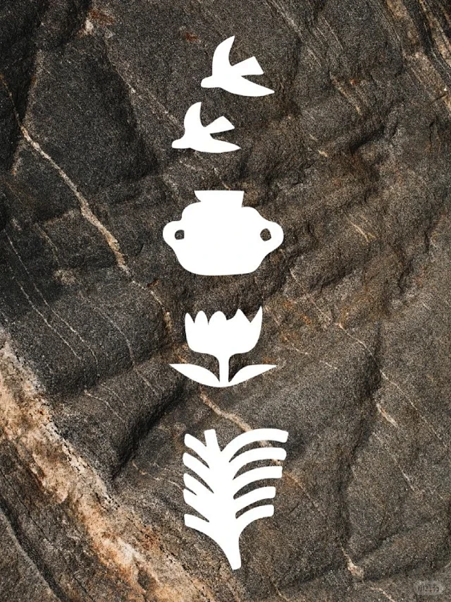 矢量包装设计感 - 小红书搜索-花瓣网