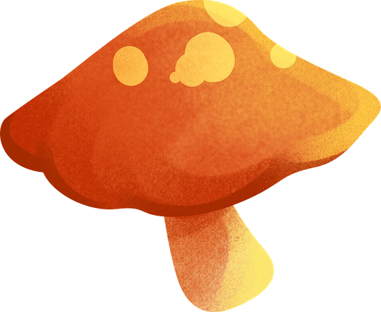 春季节气完整插画A-蘑菇-花瓣网