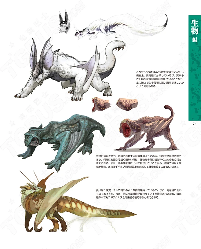 o_mh3ht_071-花瓣网