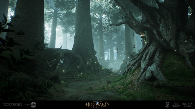 Hogwarts Legacy - Forbidden Forest 魔幻森林，夜晚-花瓣网