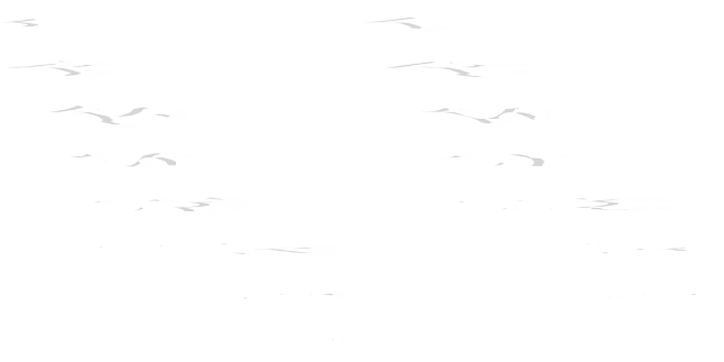 FX_TX_Fire_Traveling_02_2x8-花瓣网