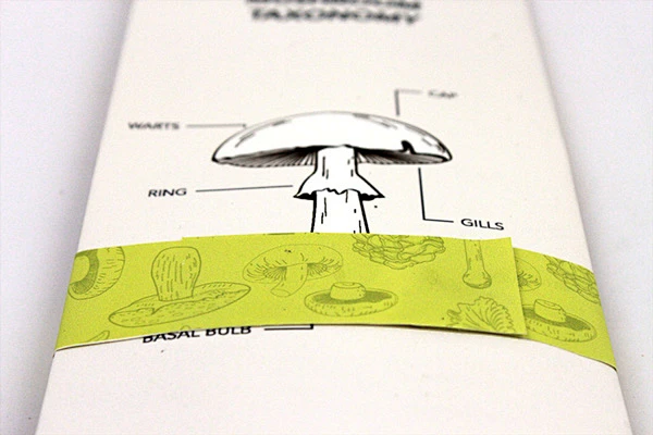 MUSHROOM POWER : An infographic exploring the three main ways in which ...