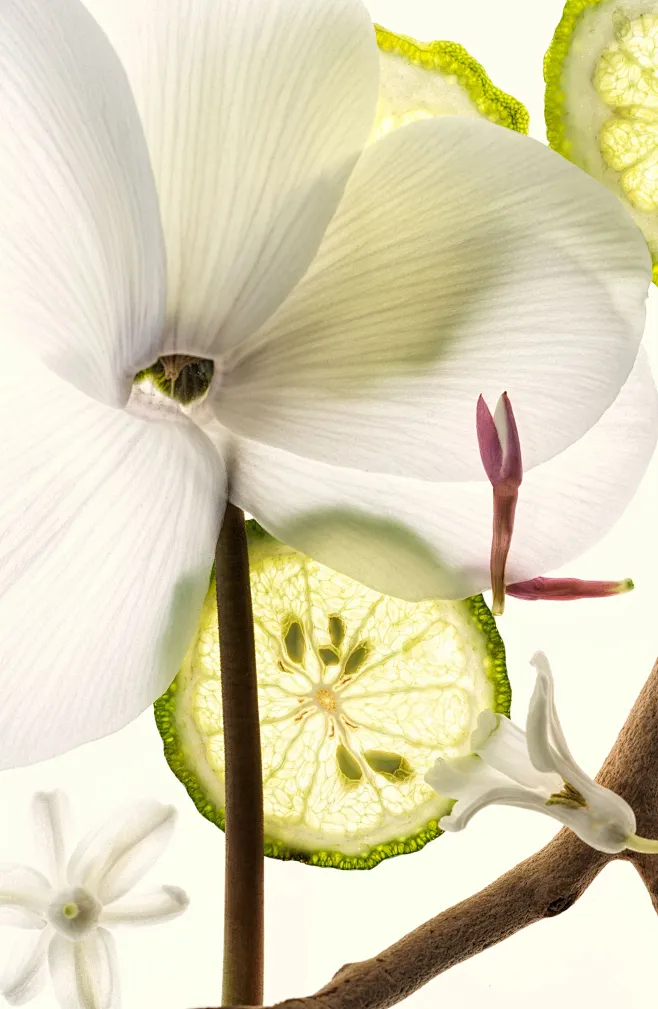 What it is: A beautifully fragranced candle that will fill your space ...
