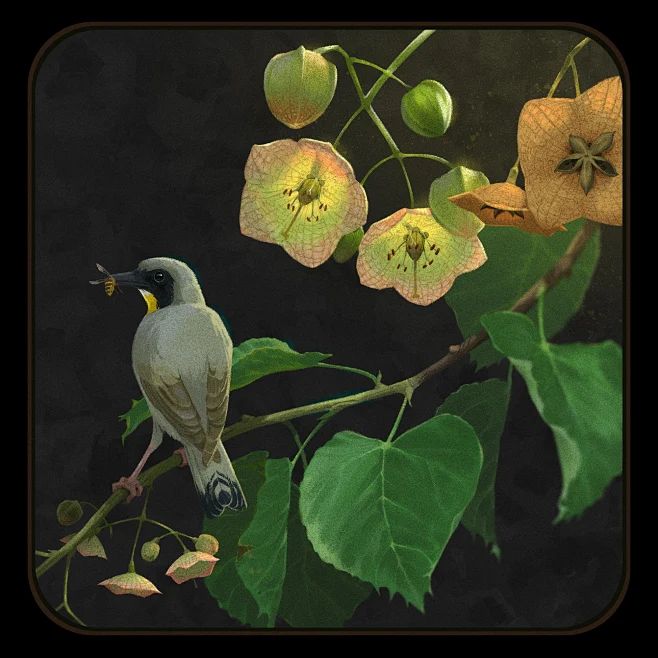 20230327_135154图片_生物图鉴图片素材-花瓣网