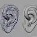 ear topology: -花瓣网