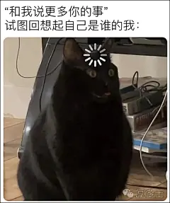 meme（梗图）图片大全-meme（梗图）高清好看的图片--花瓣超级无敌窝窝头的画板