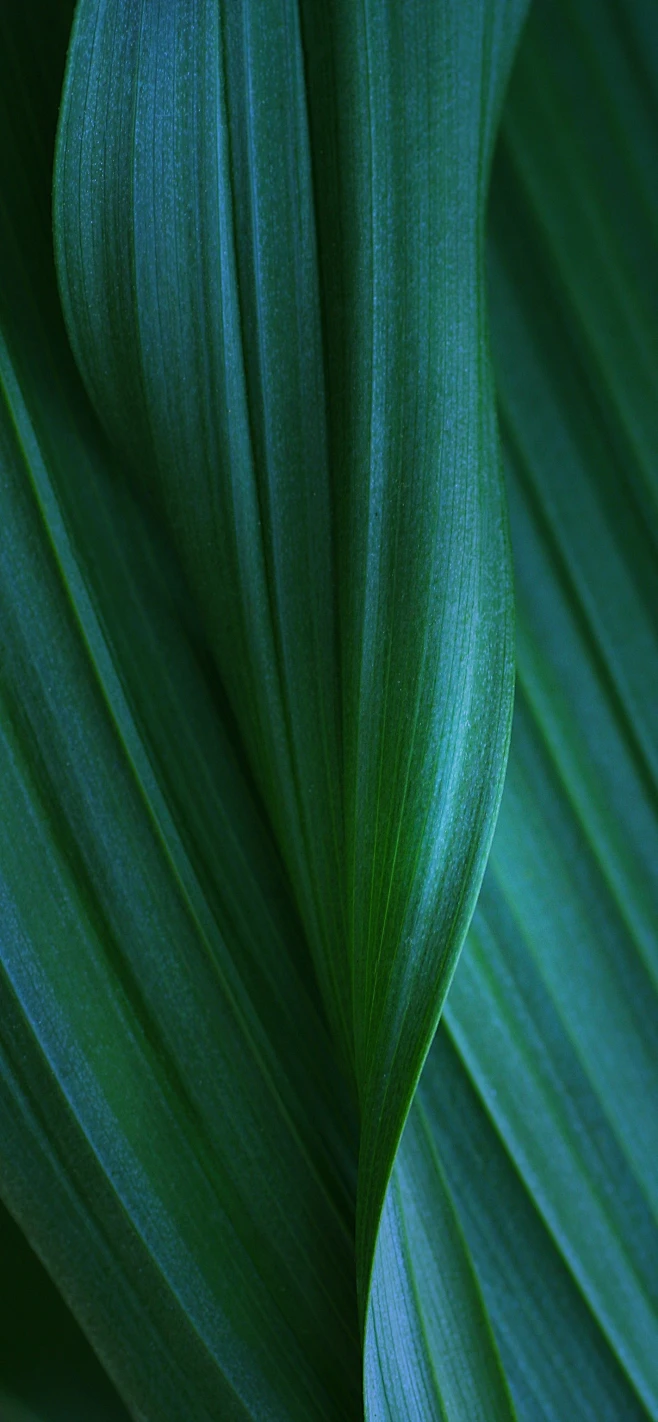 0089jQuMly1h51m3x17zaj313i2dch4o.jpg (1422×3072)-花瓣网