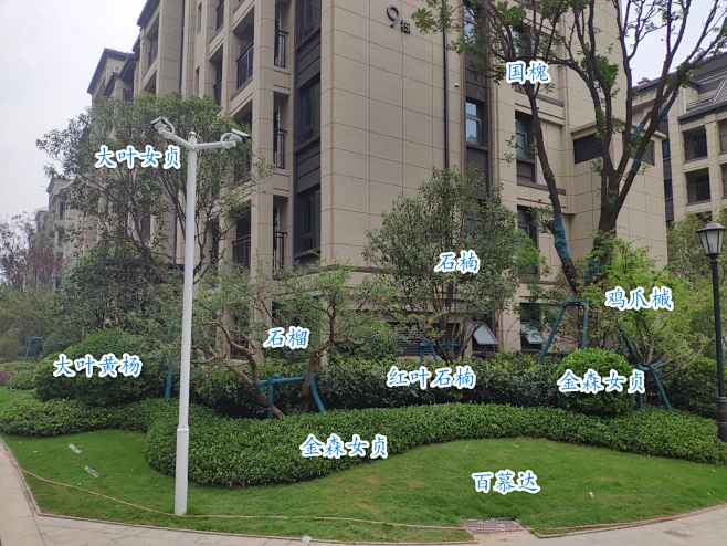 河南植物组团-花瓣网